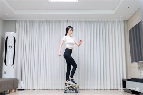 트위스트스텝퍼 숀리다이어트킹 계단운동기구 스탭퍼 네이버 블로그