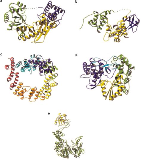 A Structural Basis For Processivity Pmc