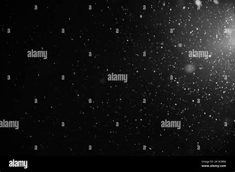 Snowflakes Falling Down On Black Background Heavy Snow Flakes Isolated Flying Rain Overlay