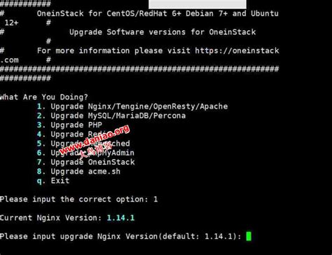 OneinStack一键升级Nginx最新以及自定义版本的方法 大鸟笔记