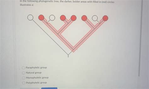 Answered In The Following Phylogenetic Tree The Bartleby