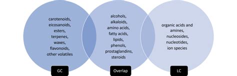 Sample Preparation Gc Fid Polymer Chemistry Characterization Lab