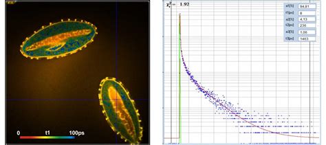 News Becker And Hickl Gmbh