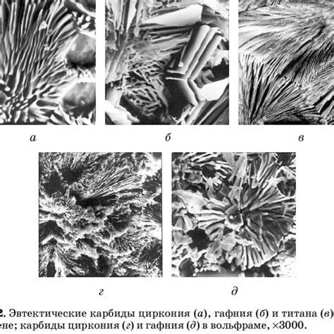 Microstructure Of Cobalt Based Alloys Of C—co—nb System Eutectic Alloy Download Scientific