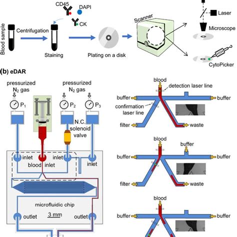 Centrifugation Techniques Of Ctcs Separation A Oncoquick Workflow Download Scientific