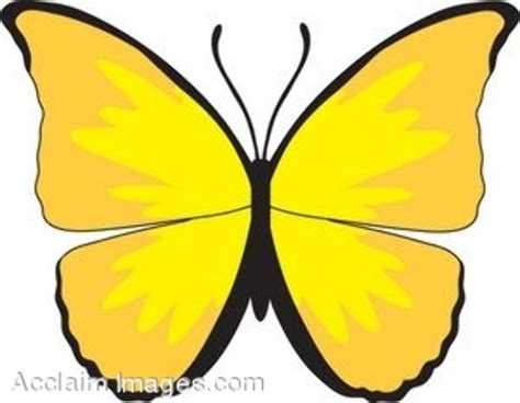 Butterfly Clipart Yellow Picture 87824 Butterfly Clipart Yellow Clear Clip Art 2019