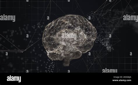 Digital Animation Of Human Brain And Dna Structure Spinning Against