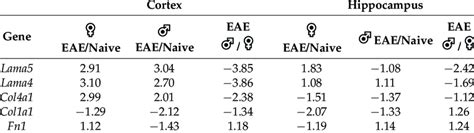 Sex Specific Fold Changes In Gene Expression Of ECM Components In EAE Download Scientific