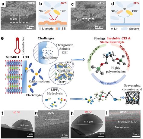 A D The Cross‐sectional Morphologies Of Lithium Deposition In Download Scientific Diagram