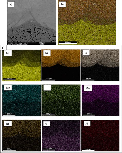 Chemical Element Distribution On The Transverse Cross Section Of Download Scientific Diagram
