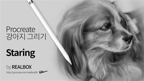 [리얼박스] 연남동 놀이터에서 프로크리에이트 강아지 그리기 Youtube