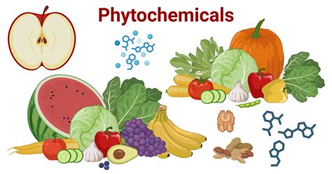 Phytochemicals Types Examples And Health Benefits
