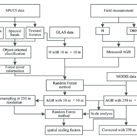 Flowchart Of Agb Modeling And Spatial Scaling H Is Maximum Forest