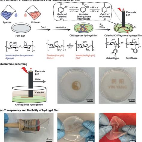 Reading The Redox State Of The Patterned Catechol A The Redox States