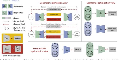 Figure 2 From Towards Cross‐modal Organ Translation And Segmentation A Cycle‐ And Shape