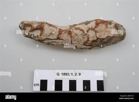 Chisel Of Flint Chisel Stone Flint 16 6 X 5 X 3 5 Cm Prehistory Belgium Unknown Unknown