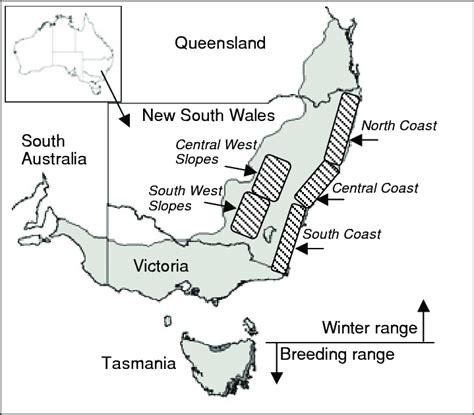 Range Of Swift Parrots In South Eastern Australia Light Shading Download Scientific Diagram