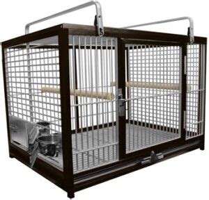 Best 6 Green Cheek Conure Cages That Come In Optimal Size