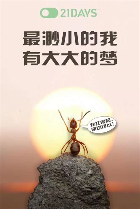 渺小也要有夢想 每日頭條