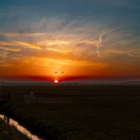 Wolloo Winnie Flickr