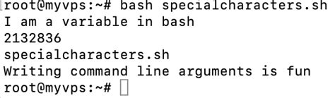 What Are Bash Variables And How To Work With Them On Linux