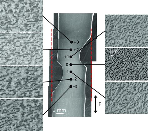 3 Longitudinal Observations 1 Mm Apart Of The γ Rafted Microstructure Download Scientific
