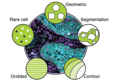 NanoString GeoMX Digital Spatial Profiling PicoImmune Co