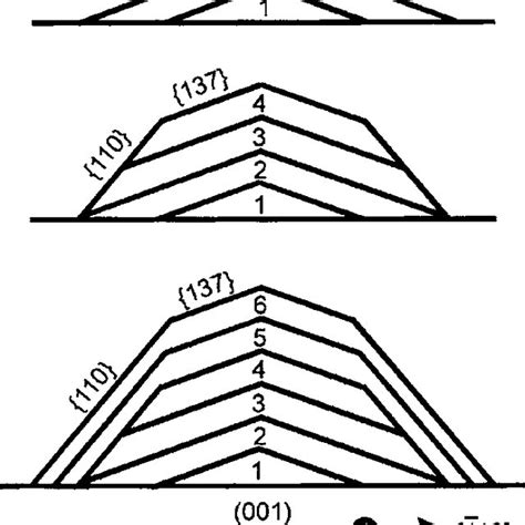 Schematic Growth Model Of Inas Qds Grown On The Gaas001 Surface Download Scientific Diagram