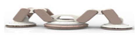 Sustainability Free Full Text Green Product Design Based On The Biotriz Multi Contradiction