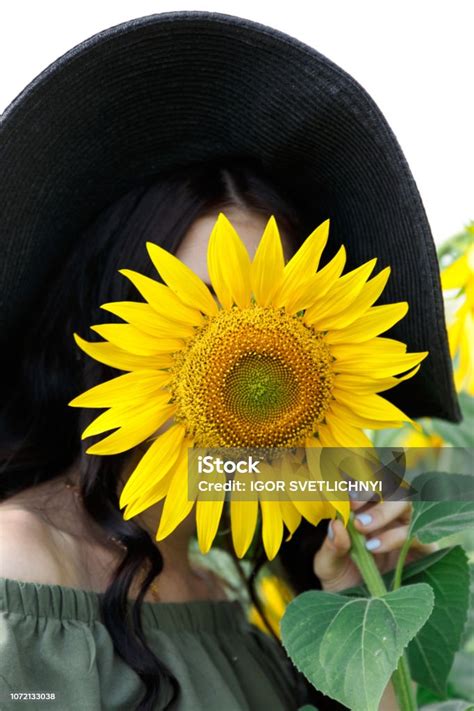 해바라기와 함께 그녀의 얼굴을 덮고는 아름 다운 여자의 초상화 자연 여름 휴가 휴가 드레스와 모자에 긴 머리를 가진 여자입니다 자유의 개념입니다 해바라기 배경 계절에 대한