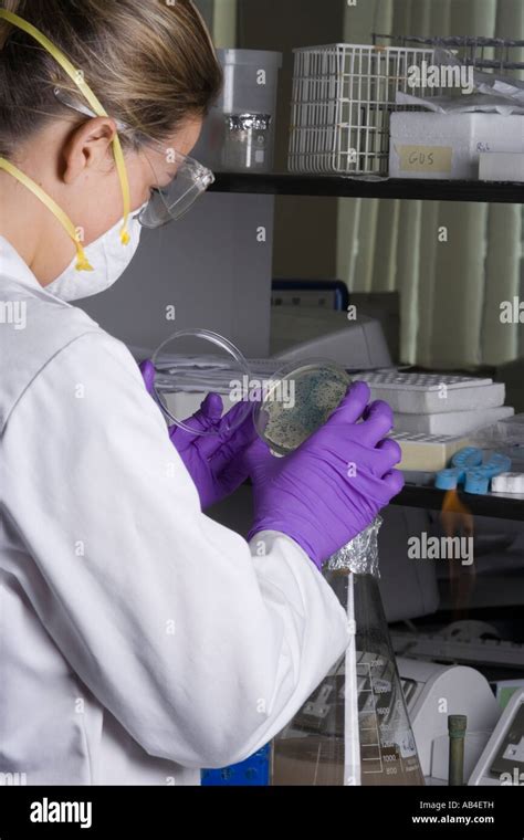 Female Lab Technician Stock Photo Alamy
