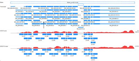 visualization of the coverage of genes mapped by reads of two rna seq