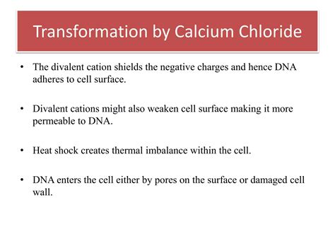 Bacterial Recombination 1 Pptx