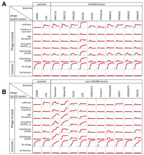 Culture Lysis Times For Phage K With Wild Type Or Mutant Gp102 Under Download Scientific