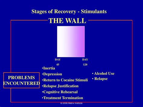 Ppt Core Training In The Matrix Model Of Outpatient Treatment For
