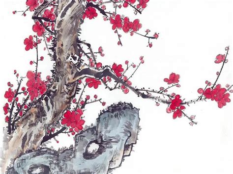 五首梅花诗词,王安石经典,陆游惊艳,18岁的李清照最是出口狂傲百科ta说 五首梅花诗词,王安石经典,陆游惊艳,18岁的李清照最是出口狂傲百科ta说