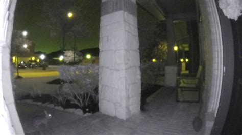 Easter Bunny Checking Out Things For Sunday This Morning Better Than