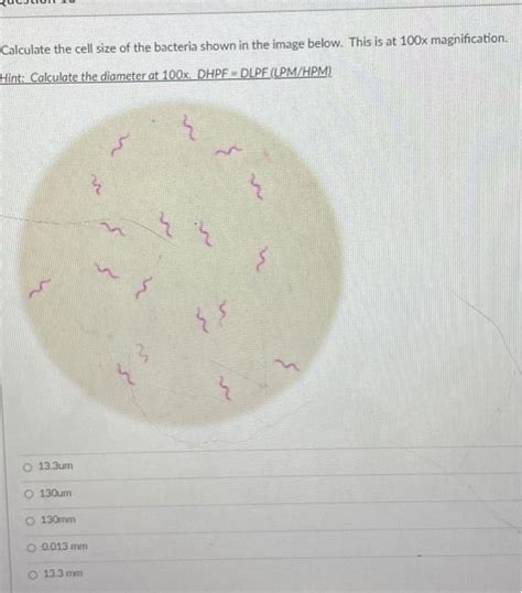 Calculate The Cell Size Of The Bacteria Shown In The Chegg Com