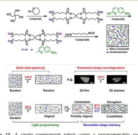 Figure 13 From Semi Crystalline Polymers With Supramolecular