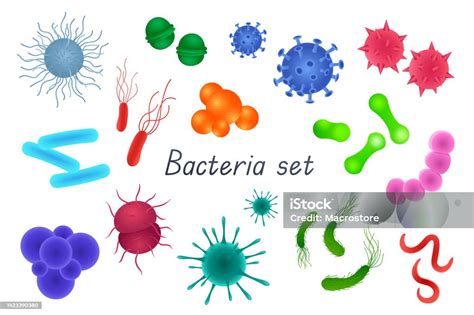 박테리아와 세균 3d 현실적인 세트 다양한 유형의 현미경 생물 미생물 바이러스 감염 및 질병 세포 간균 및 기타 격리 된 요소