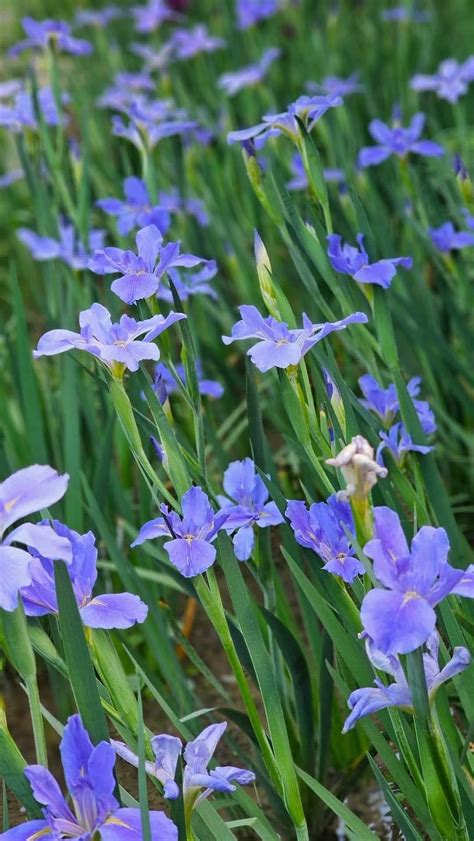 多財多知 【試遍網路上各大部落格課程的方法，你卻還是遲遲賺不到錢？】 你是不是有以下這些困擾： 1 每天苦心經營部落格，卻遲遲無法變現？ 2 想要增加收入，卻沒有什麼方法？ 3 想