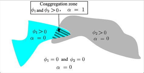 Phase Field Approach For A Multi Species System Download