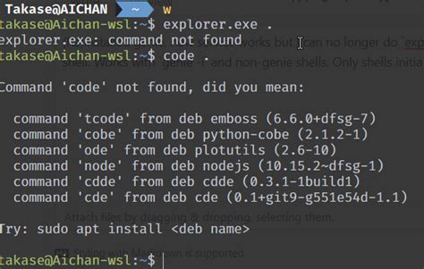 Cant Use Explorer Nor Code In Genie Shell · Issue 37 · Arkane Systems