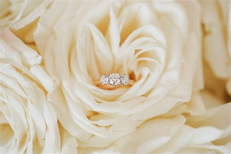 Laura And James Wedding At Polperro Winery Mornington Peninsula Jessica Rose Photography