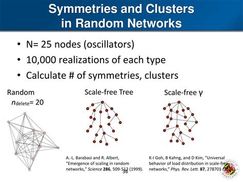 ppt symmetries clusters and synchronization patterns in complex