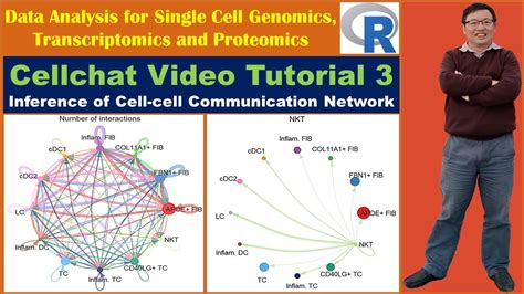 Cellchat Video Tutorial Inference Of Cell Cell Communication Network Youtube