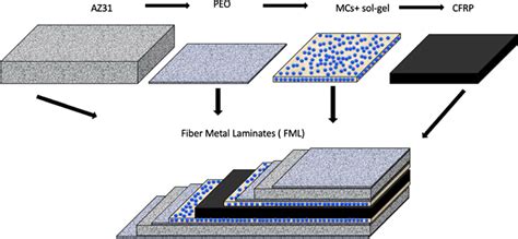 Layer Arrangement Diagram Of Fml With Mcs Download Scientific Diagram