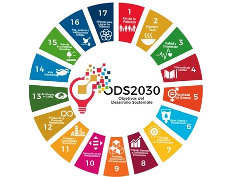 17 Ods ¿cuáles Son Y Qué Busca Cada Uno