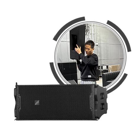 Are Audio Passive Dual 8 Inch Portable Full Range Pa System Line Array
