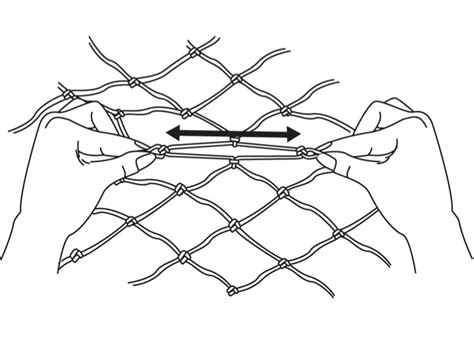 Page 7 - Gallery 2.4: Purse Seine Net and Setting — ISSF Guidebooks